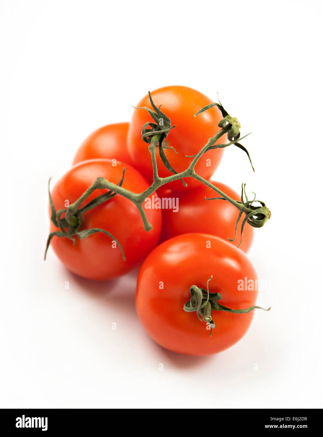 Tomato stem detail Cut Out Stock Images & Pictures - Alamy