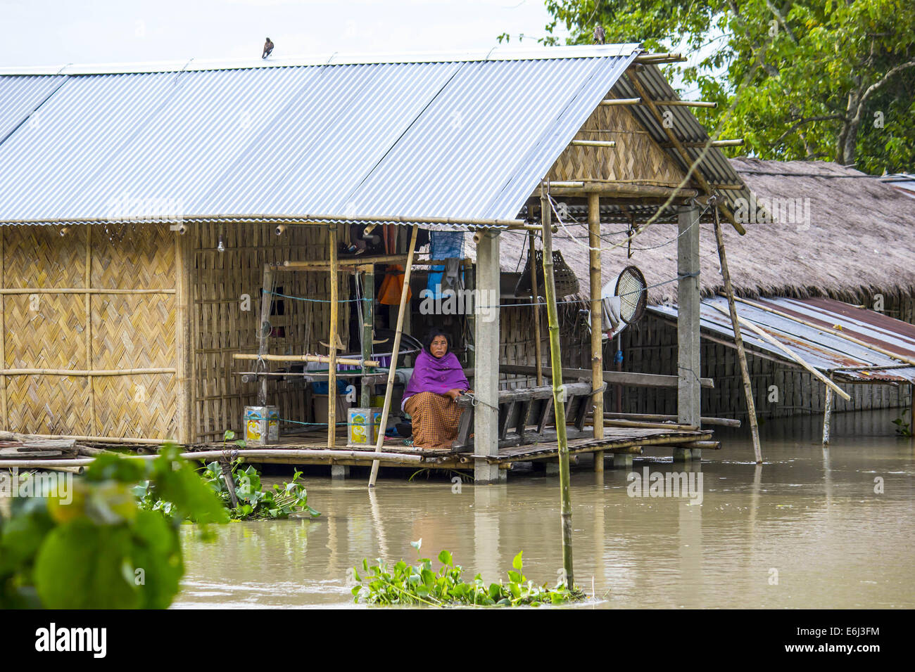 A Mishing woman waits for assistance as her house was submerged in ...