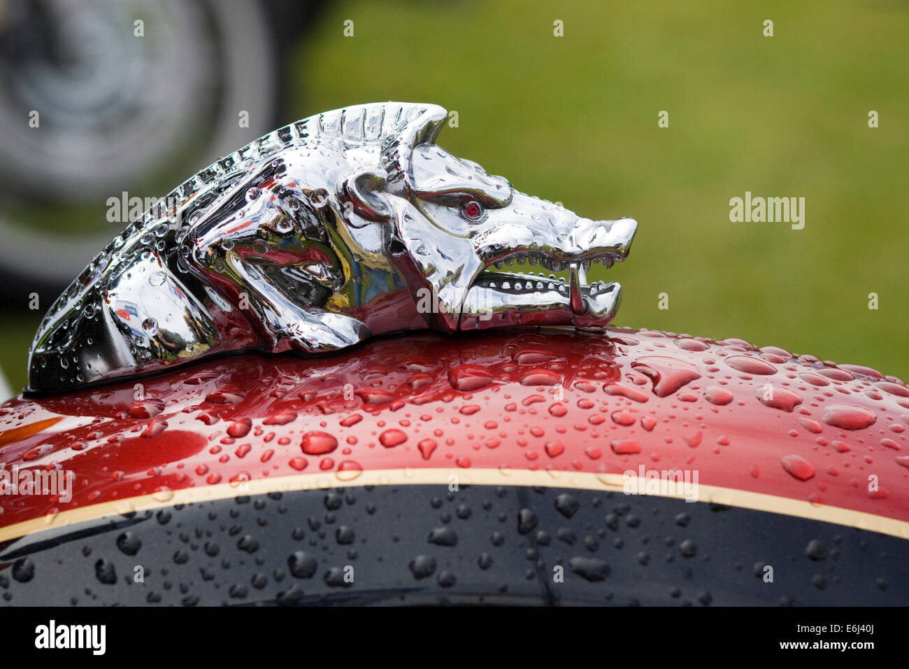 Chrome Hog Wheel Ornament on a Harley Davidson covered in Rain drops ...