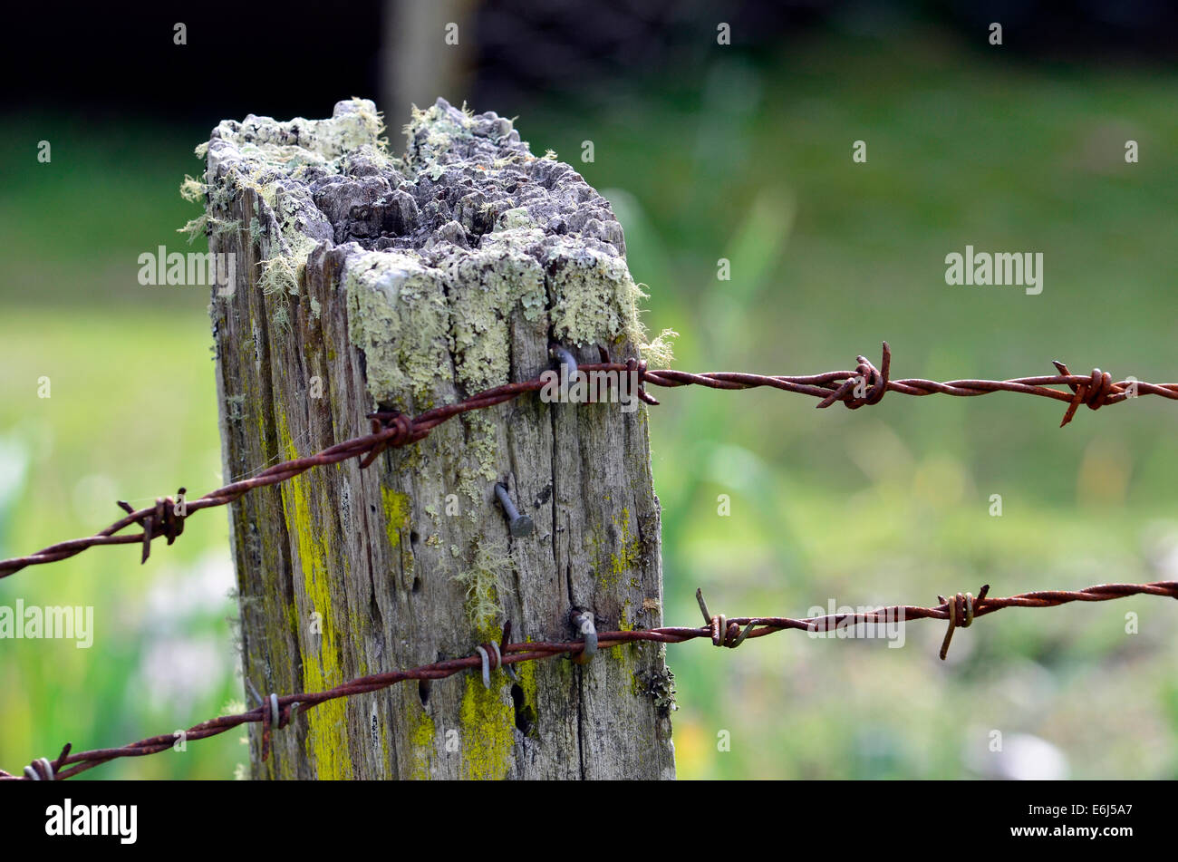 Worn out fence post hi-res stock photography and images - Alamy