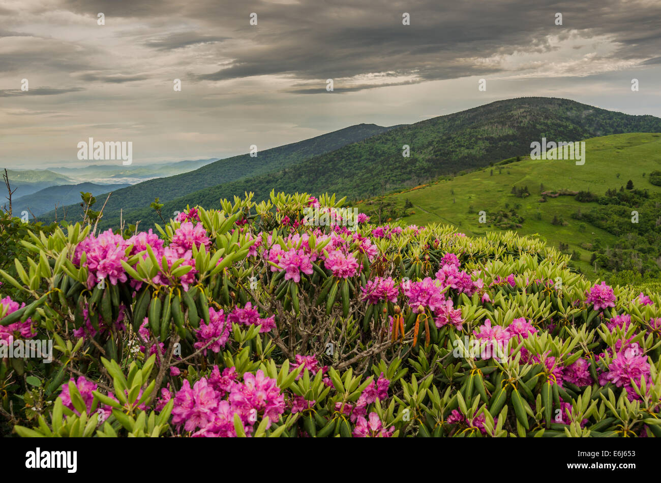 Roan highlands ridges hi-res stock photography and images - Alamy