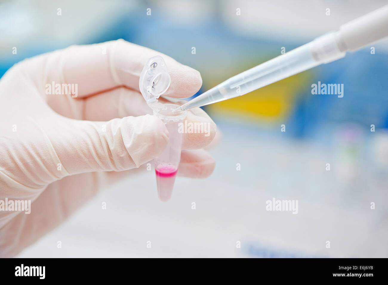 pipette filling test tube in microbiological laboratory Stock Photo - Alamy