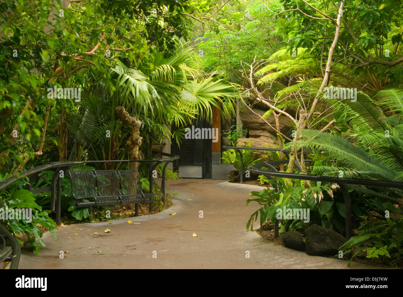 Parker Aviary, San Diego Zoo, Balboa Park, San Diego, California Stock ...