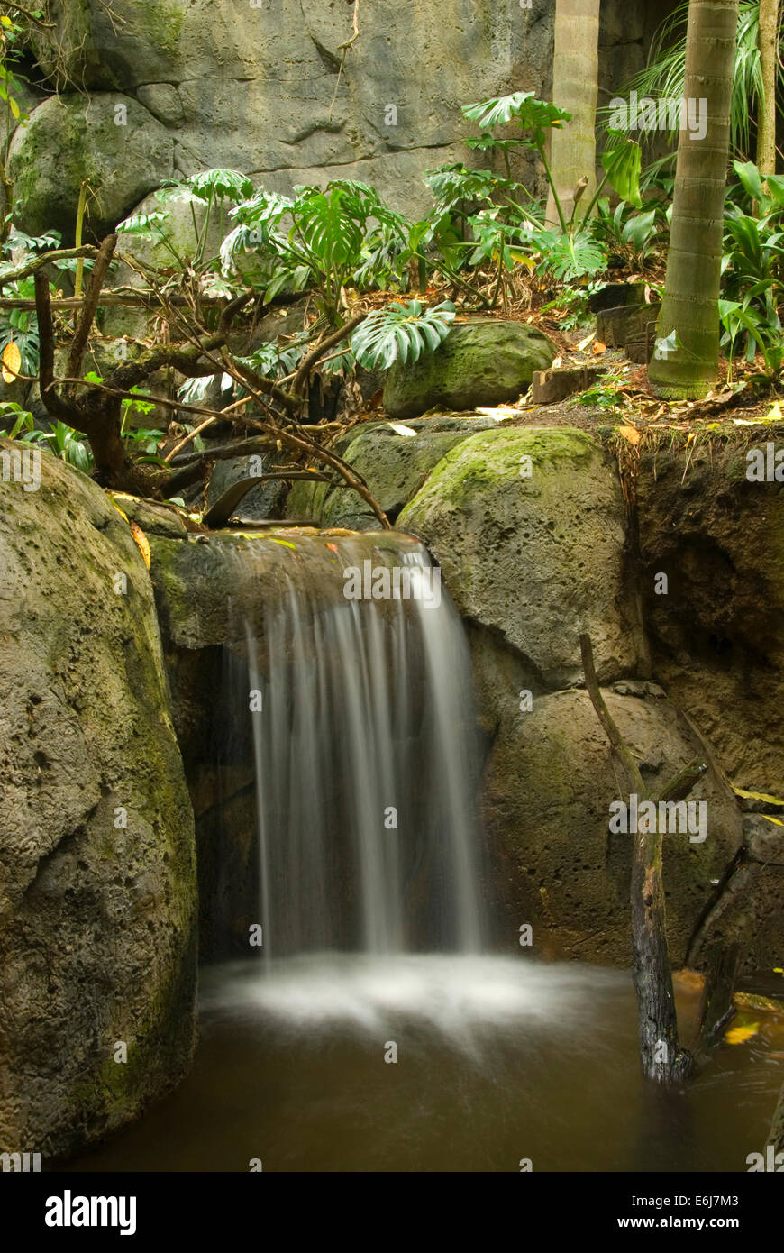 Aviary waterfall, Scripps Aviary, San Diego Zoo, Balboa Park, San Diego ...