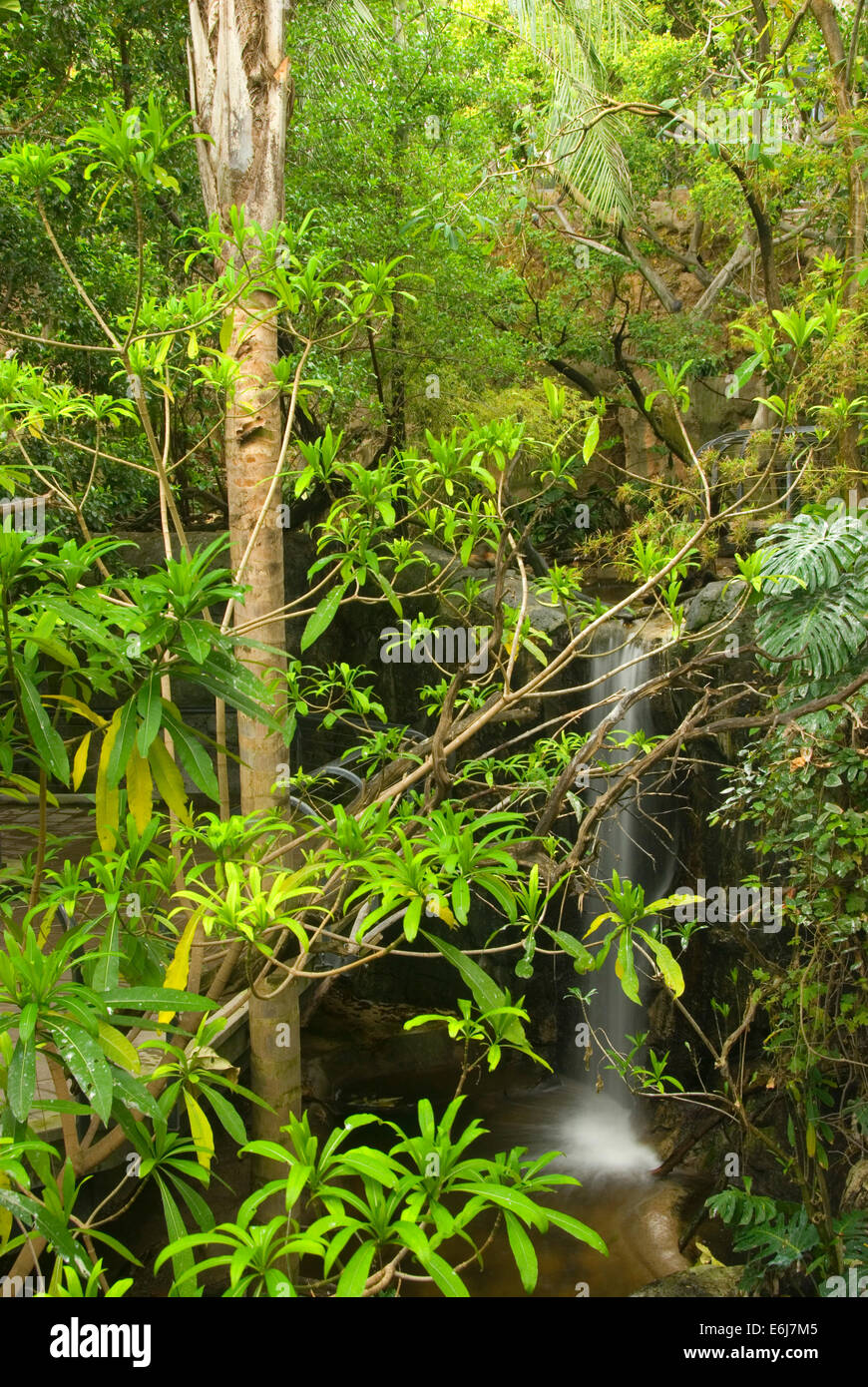 Scripps aviary san diego zoo hi-res stock photography and images - Alamy