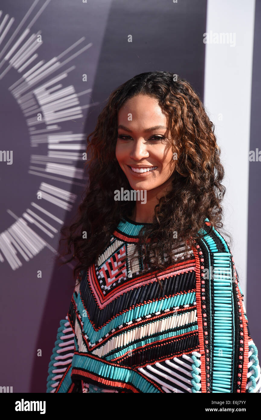 Puerto rican model joan smalls hi-res stock photography and images - Alamy