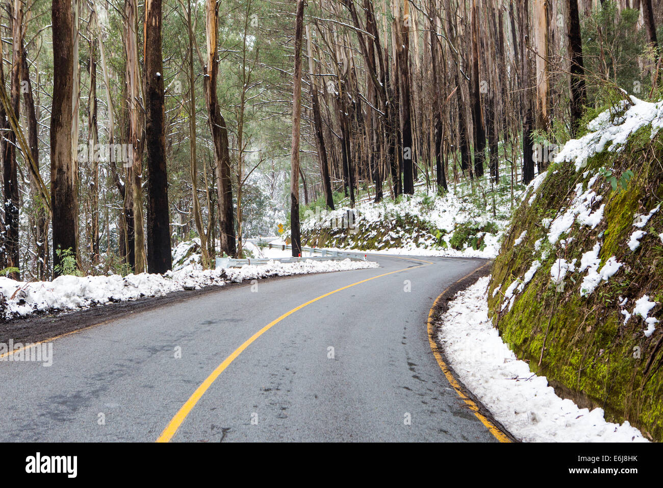 Yarra ranges national park hi-res stock photography and images - Alamy