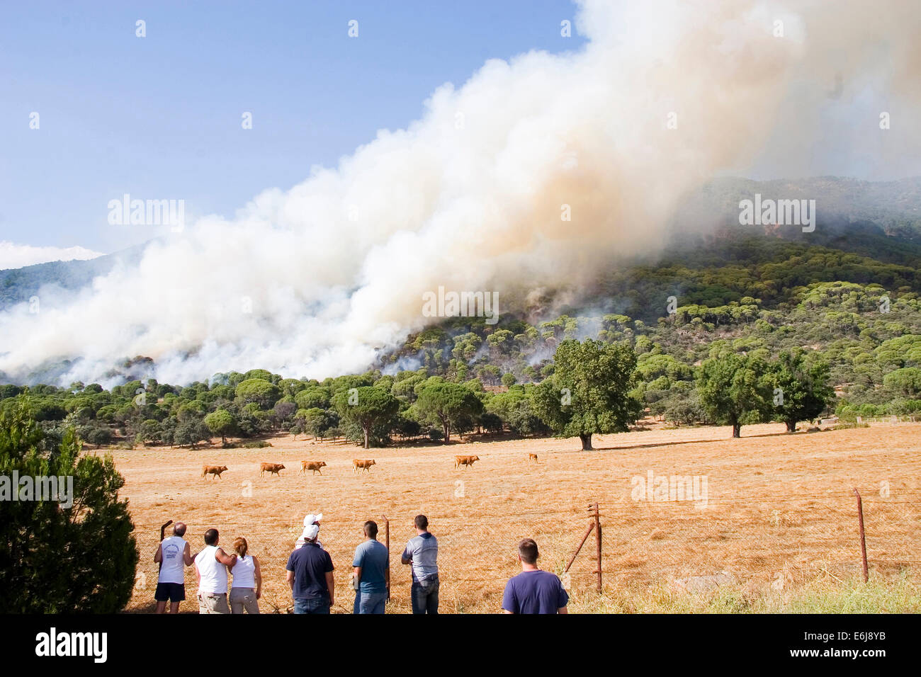 Group of people watching out a fire forest in Gredos mountain Stock ...