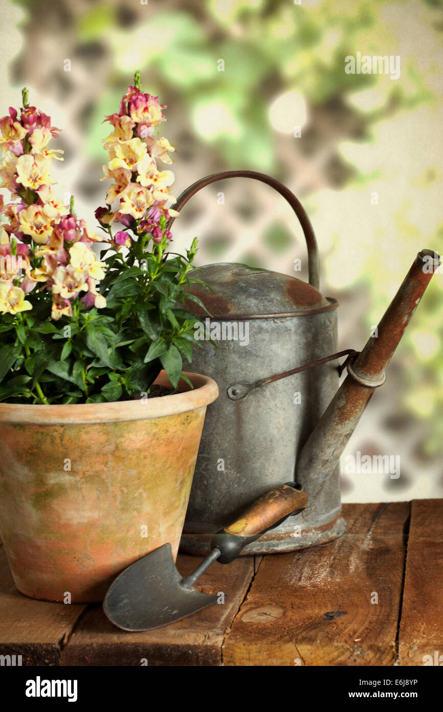Old fashioned garden tools hi-res stock photography and images - Alamy