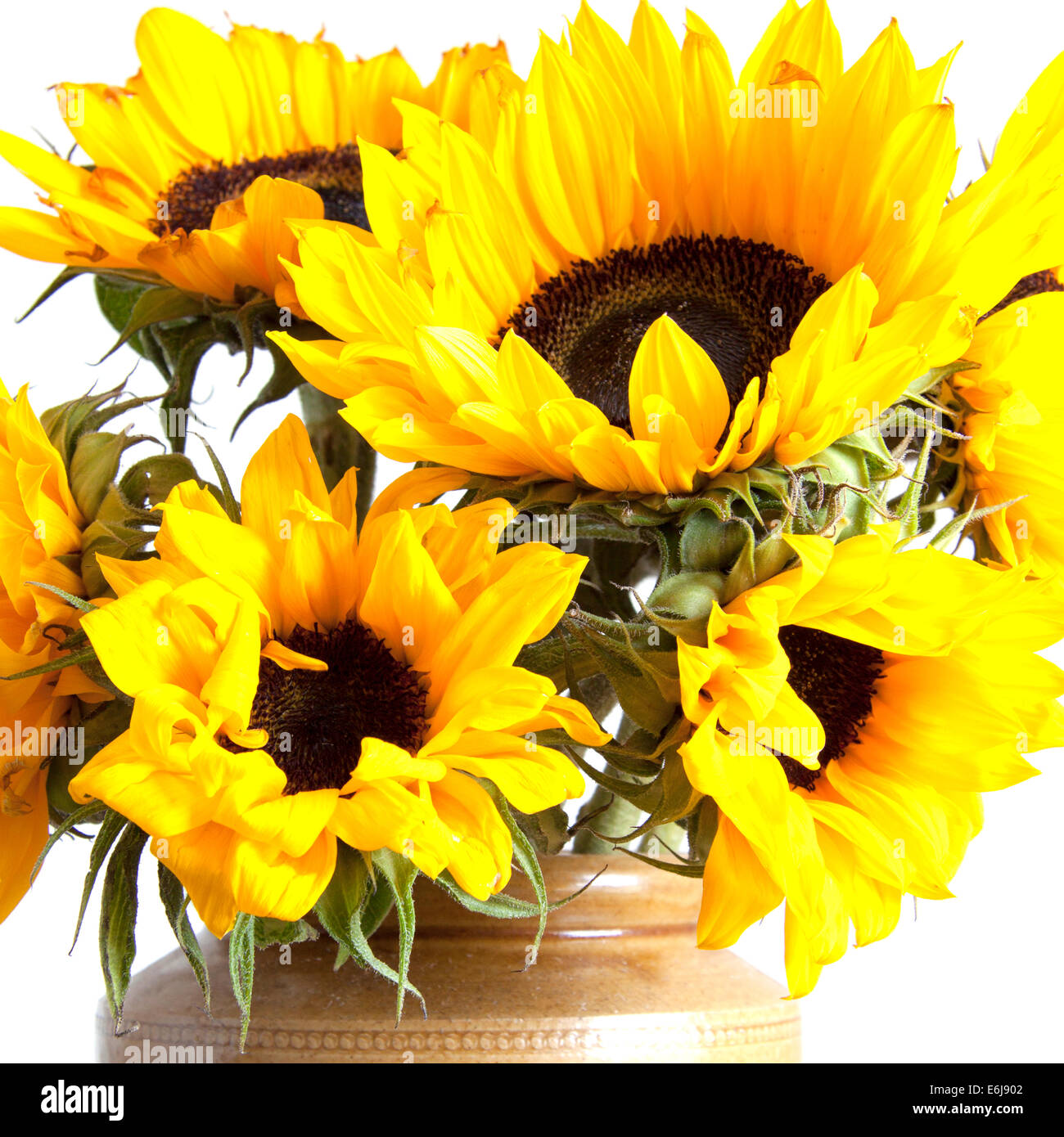 Vintage sunflowers hi-res stock photography and images - Alamy