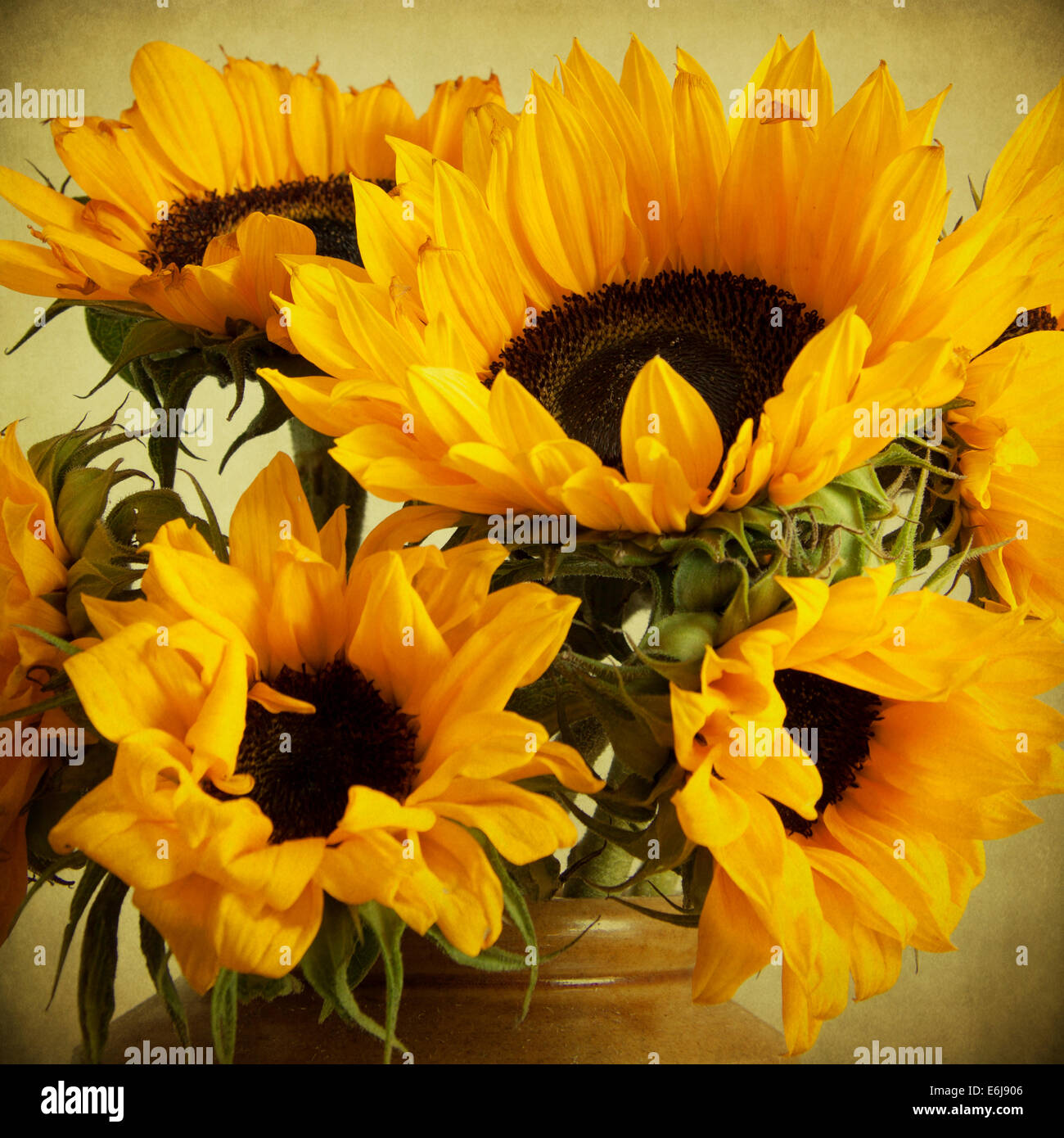 Vintage sunflowers background hi-res stock photography and images - Alamy