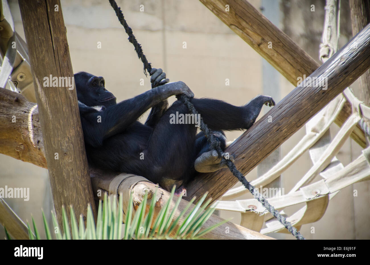 Time to relax and rest hi-res stock photography and images - Alamy