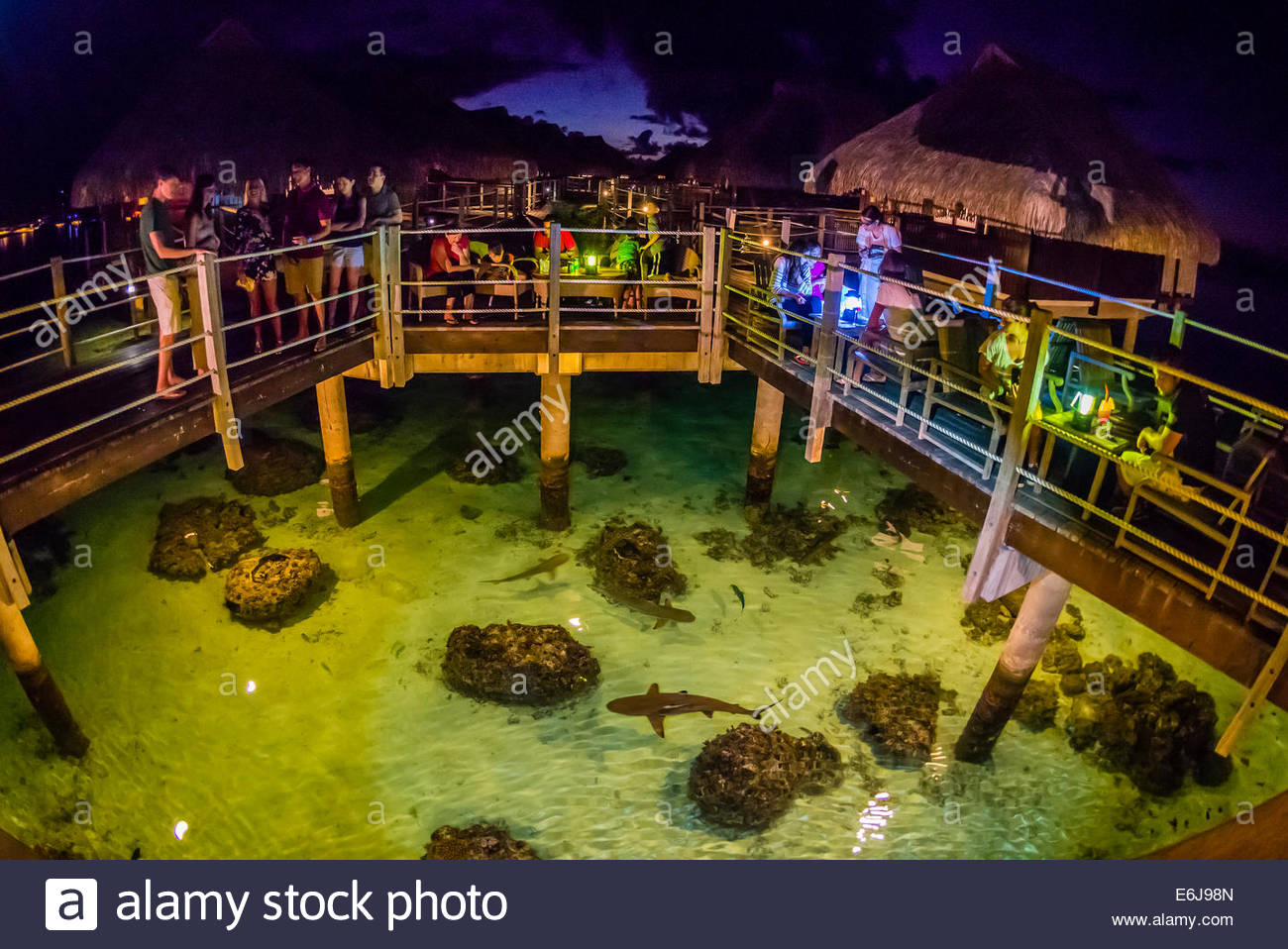Shark Circling Stock Photos & Shark Circling Stock Images - Alamy