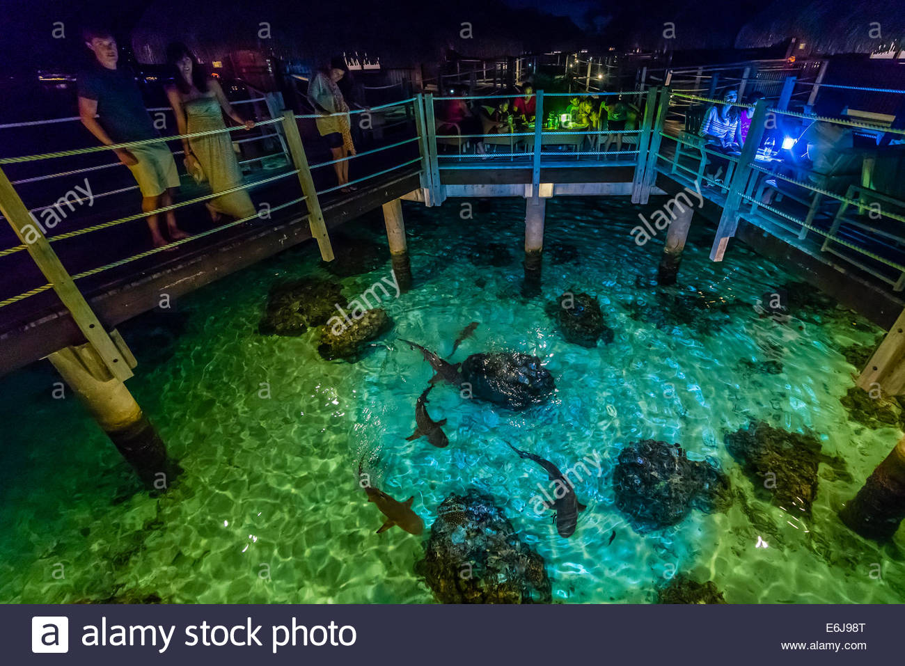 Shark Circling Stock Photos & Shark Circling Stock Images - Alamy