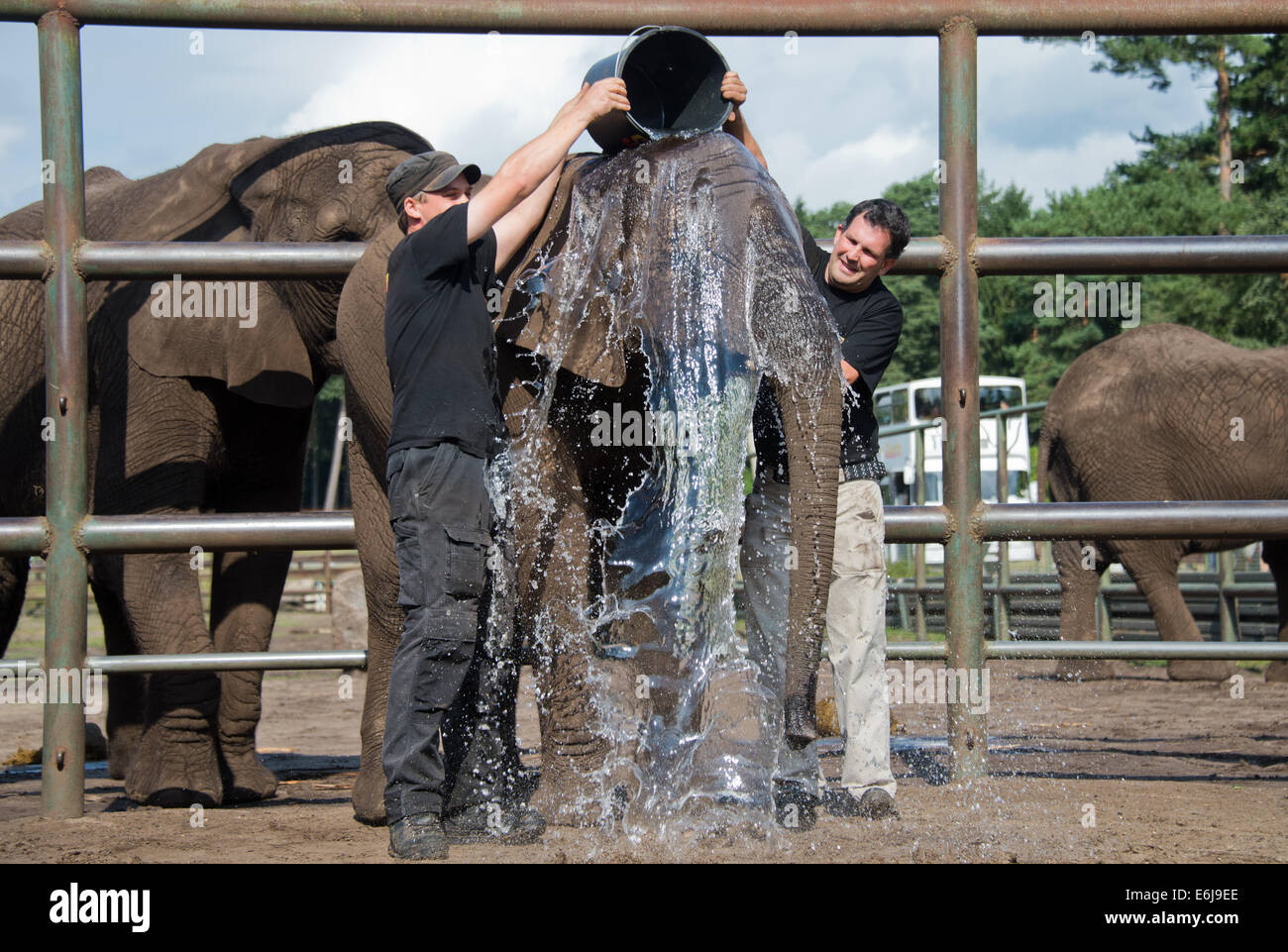 Bucket water over head hi-res stock photography and images - Alamy