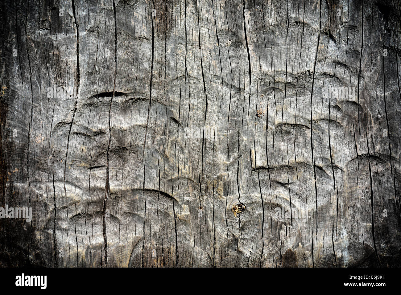 Background of carved tree with vignette Stock Photo - Alamy