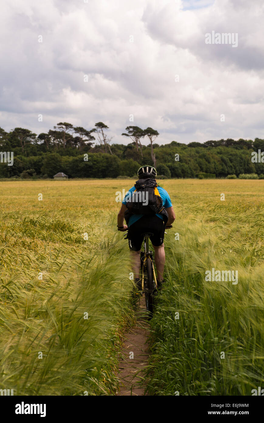 Field cycling hi-res stock photography and images - Alamy