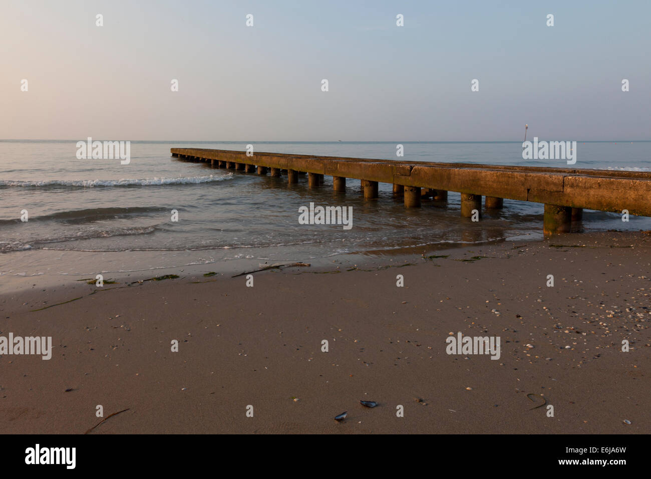 Old jetty with mussels ina Caorle, Venice Stock Photo - Alamy