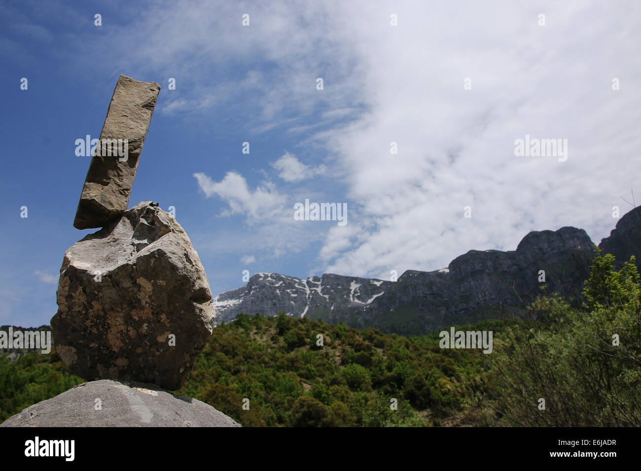 Elizabeth fitt nature hi-res stock photography and images - Alamy