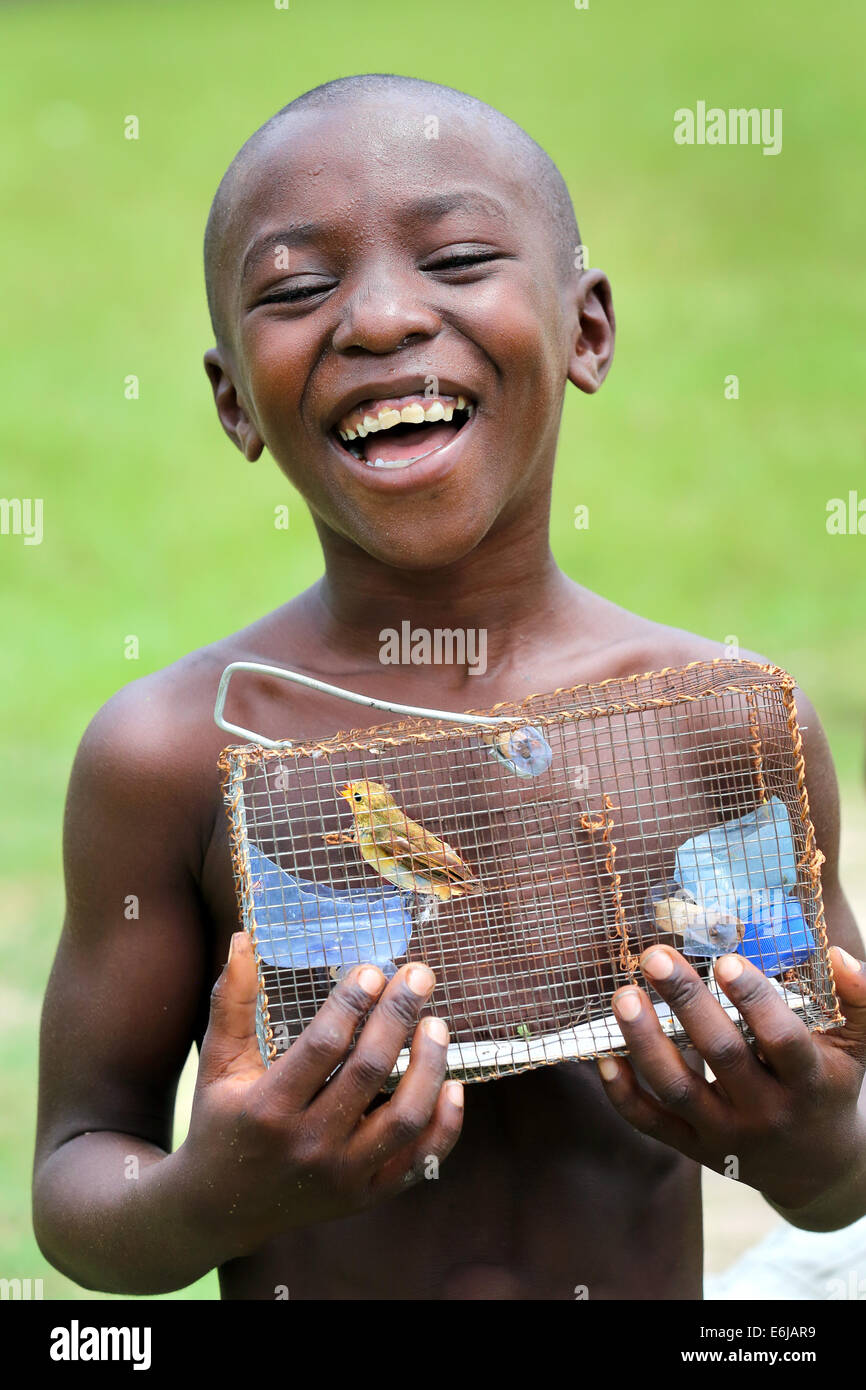 Young boy and his little yellow bird in a birdcage. Suriname, Latin ...