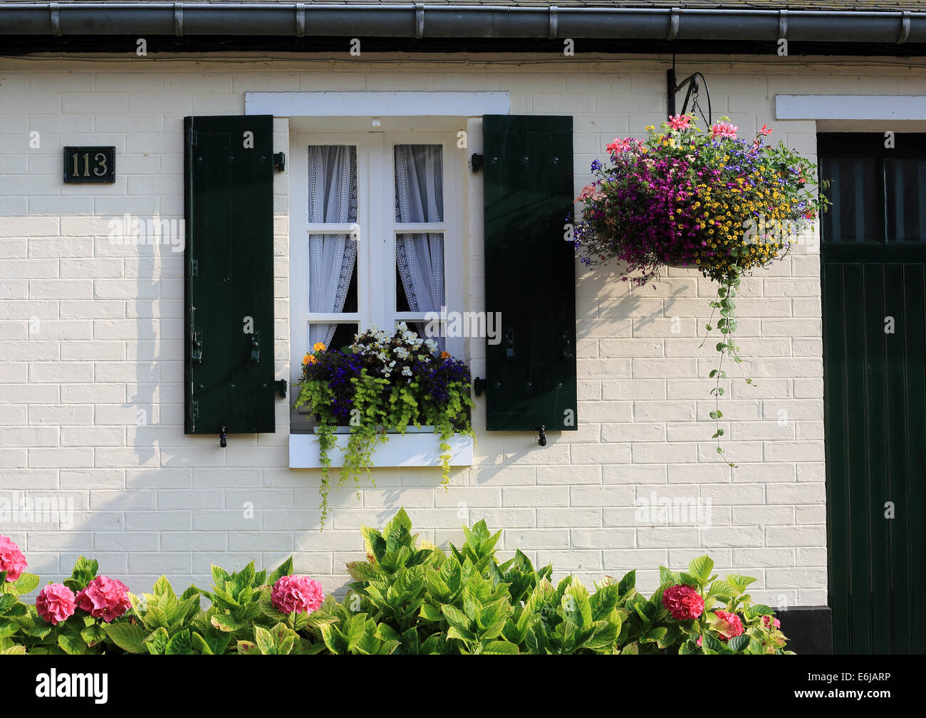 window with green shutters, window box and hydrangers in rue de l ...