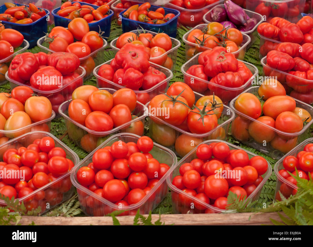 Different kinds of tomato in small plastic boxes at a market stall in ...