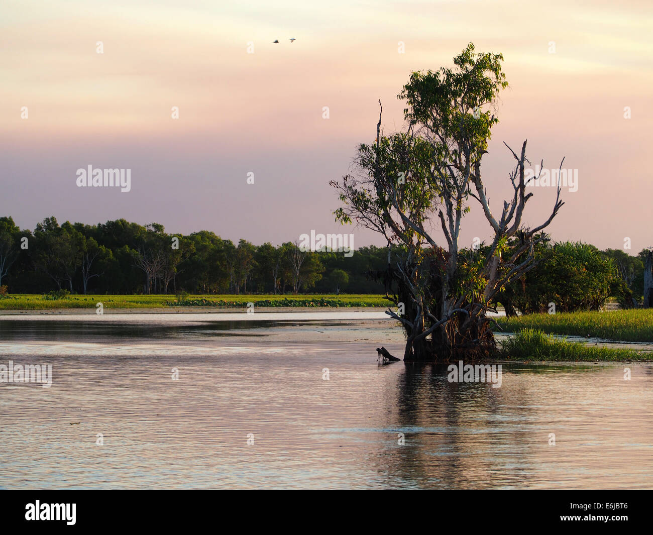 Yellow Waters wetland, Kakadu, Northern Territory, Australia Stock ...