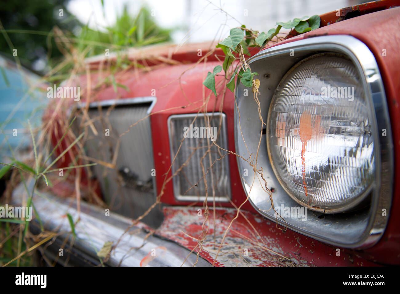 a forgotten car Stock Photo - Alamy