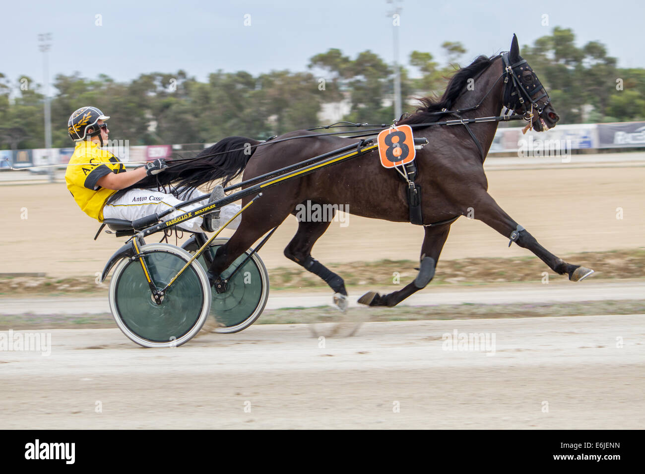 Trotting Marsa race track Valletta Stock Photo - Alamy