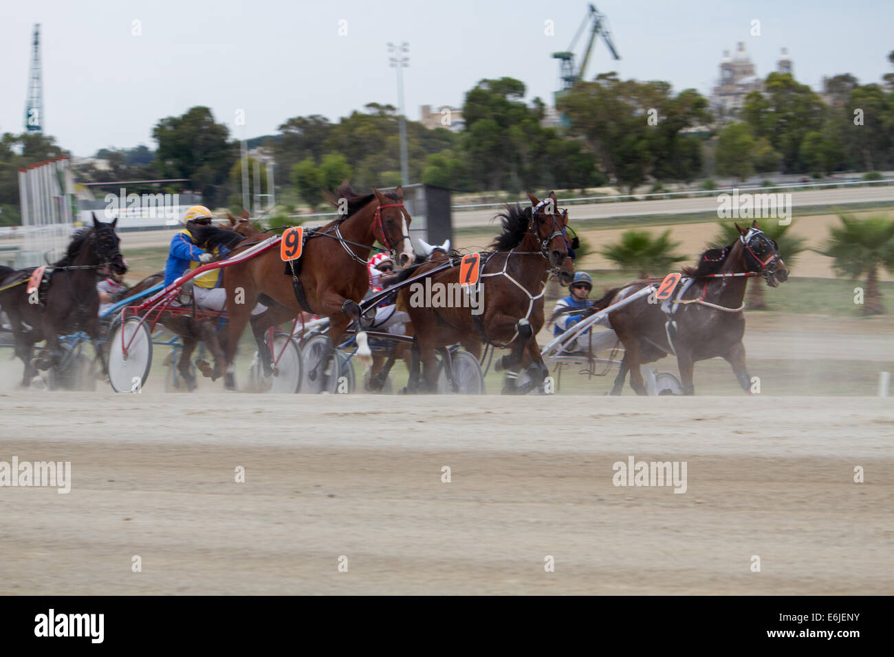 Trotting Marsa race track Valletta Stock Photo - Alamy