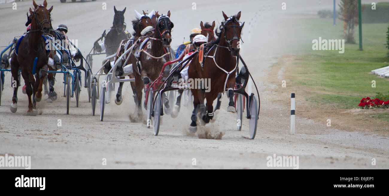 Trotting Marsa race track Valletta Stock Photo - Alamy