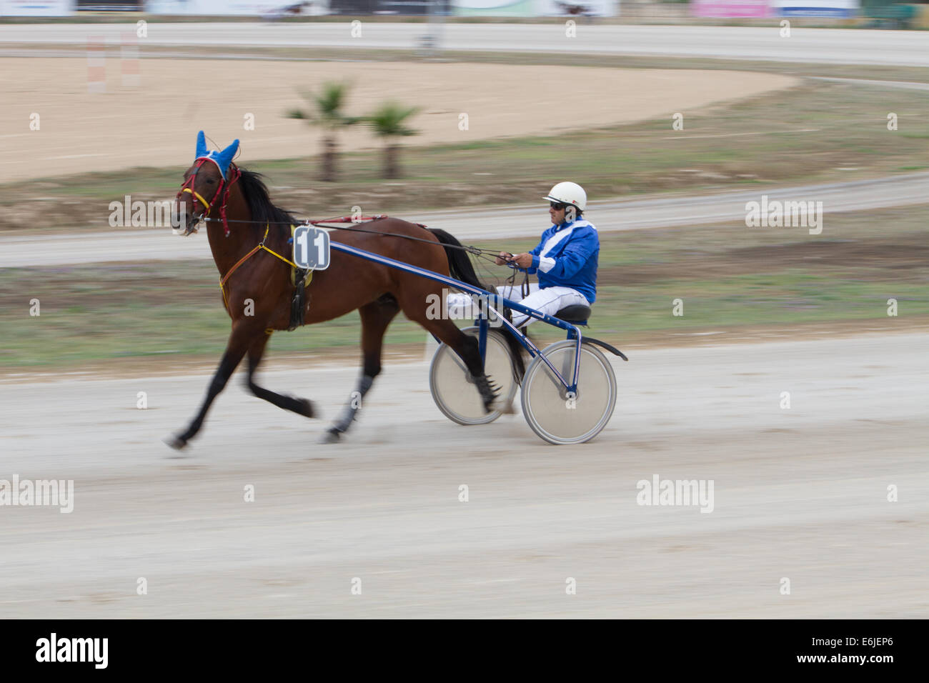 Trotting Marsa race track Valletta Stock Photo - Alamy