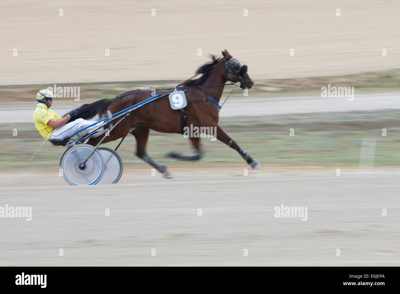 Trotting Marsa race track Valletta Stock Photo - Alamy