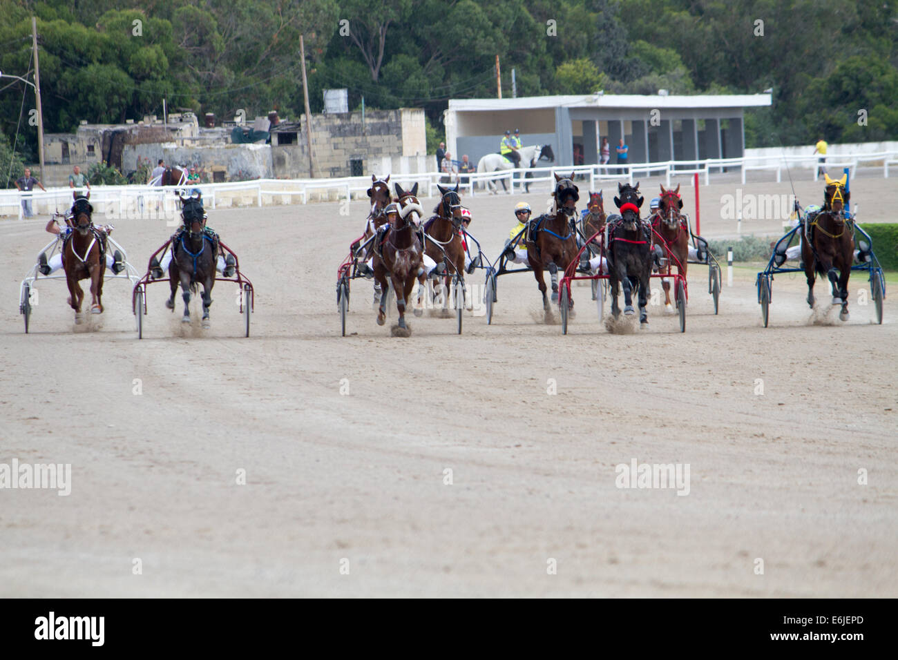 Trotting Track Stock Photos & Trotting Track Stock Images - Alamy