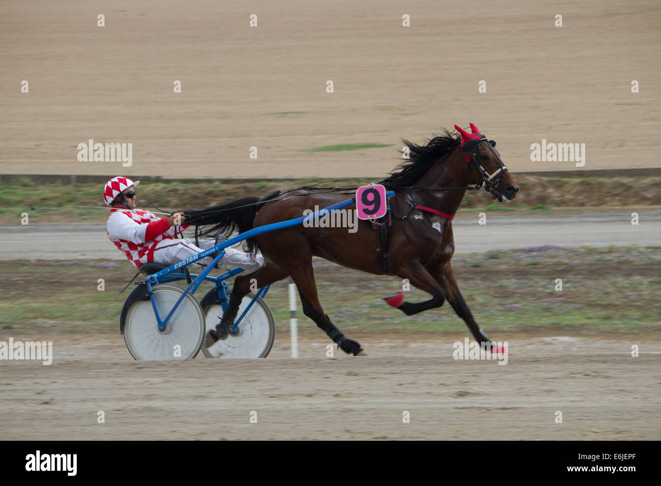 Trotting Marsa race track Valletta Stock Photo - Alamy