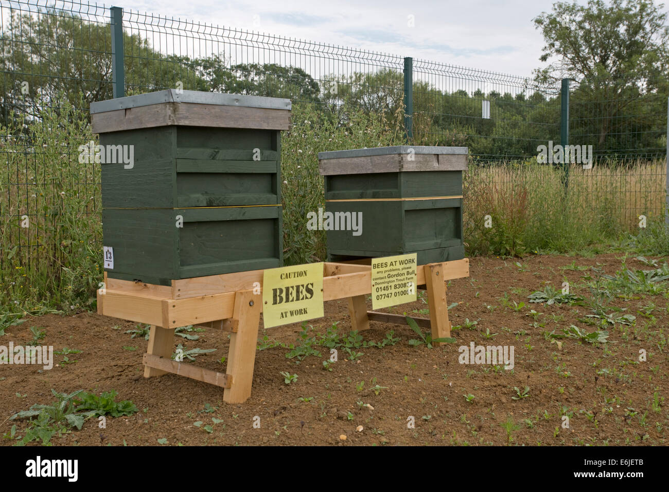 Beehives on environment friendly Belectric PV firest solar solar farm ...