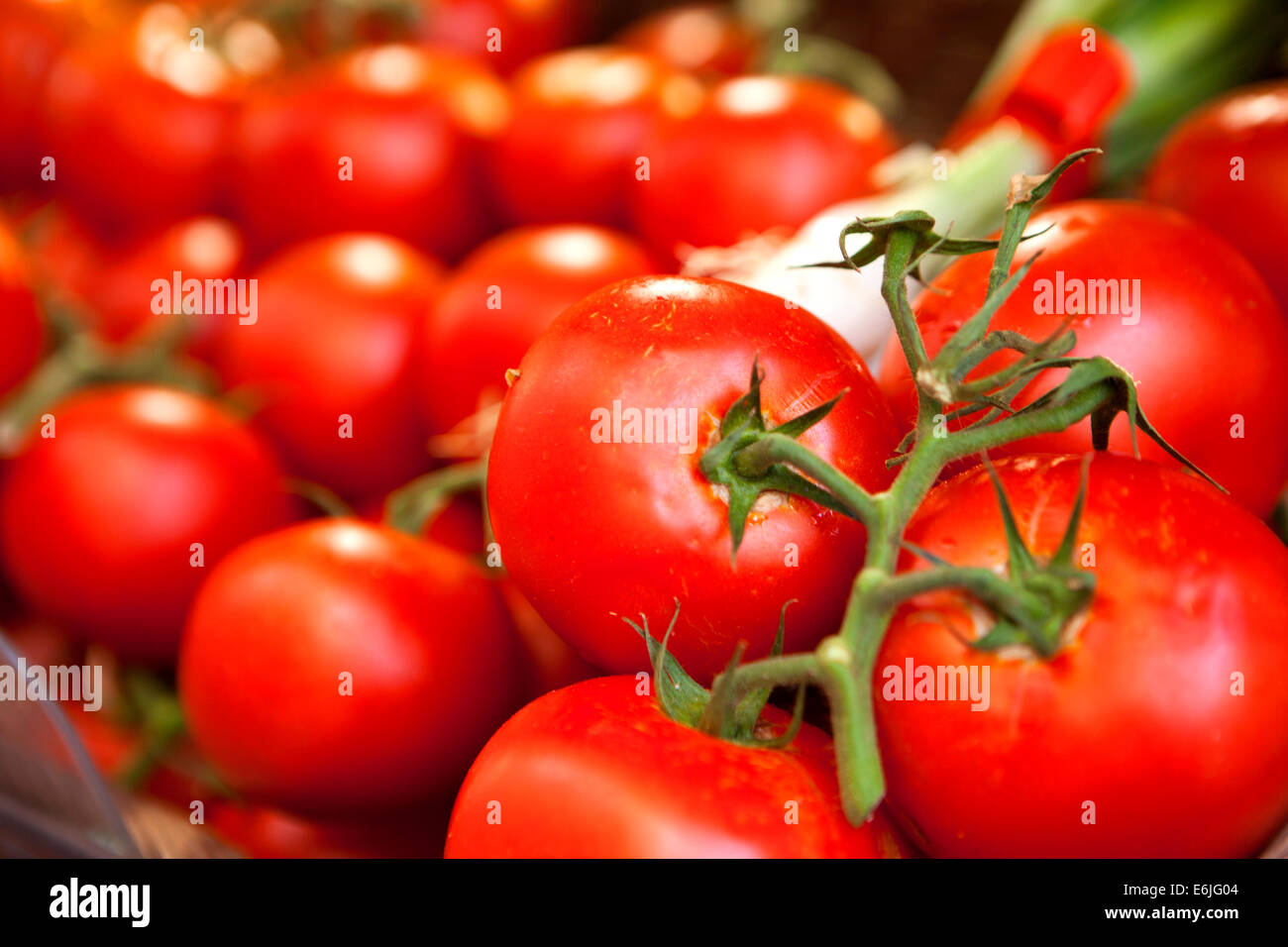 Nice tomato hi-res stock photography and images - Alamy