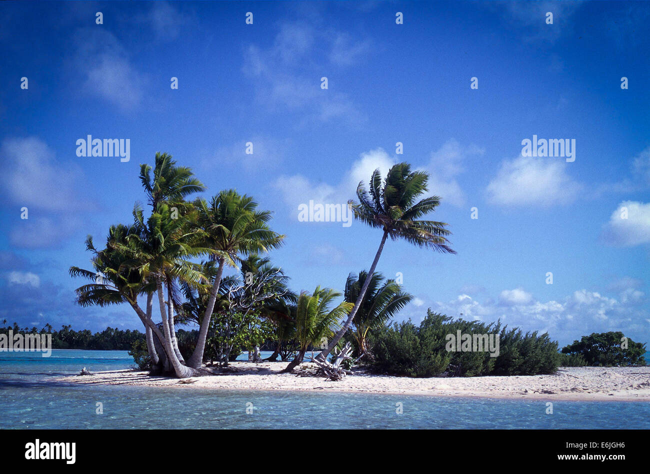 Polynesian atoll motu in Fakarawa Stock Photo - Alamy