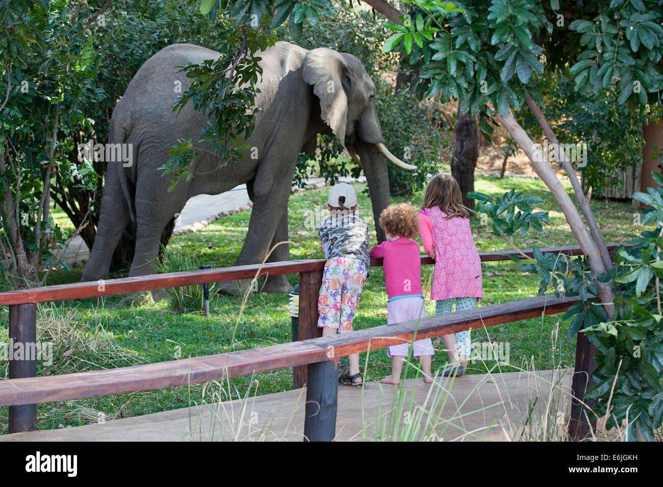 Children with elephant hi-res stock photography and images - Alamy