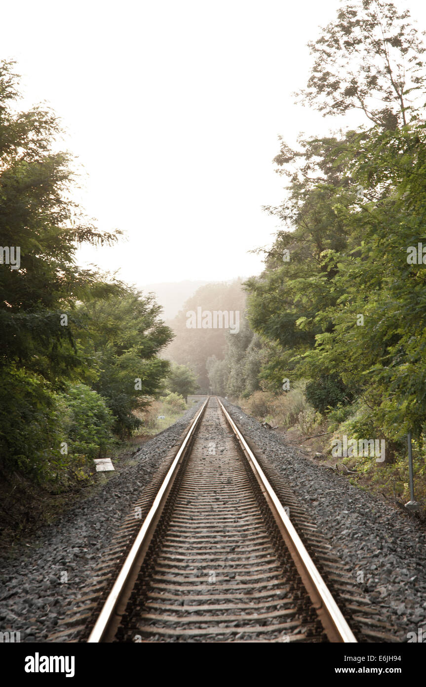 Train tracks in nature hi-res stock photography and images - Alamy
