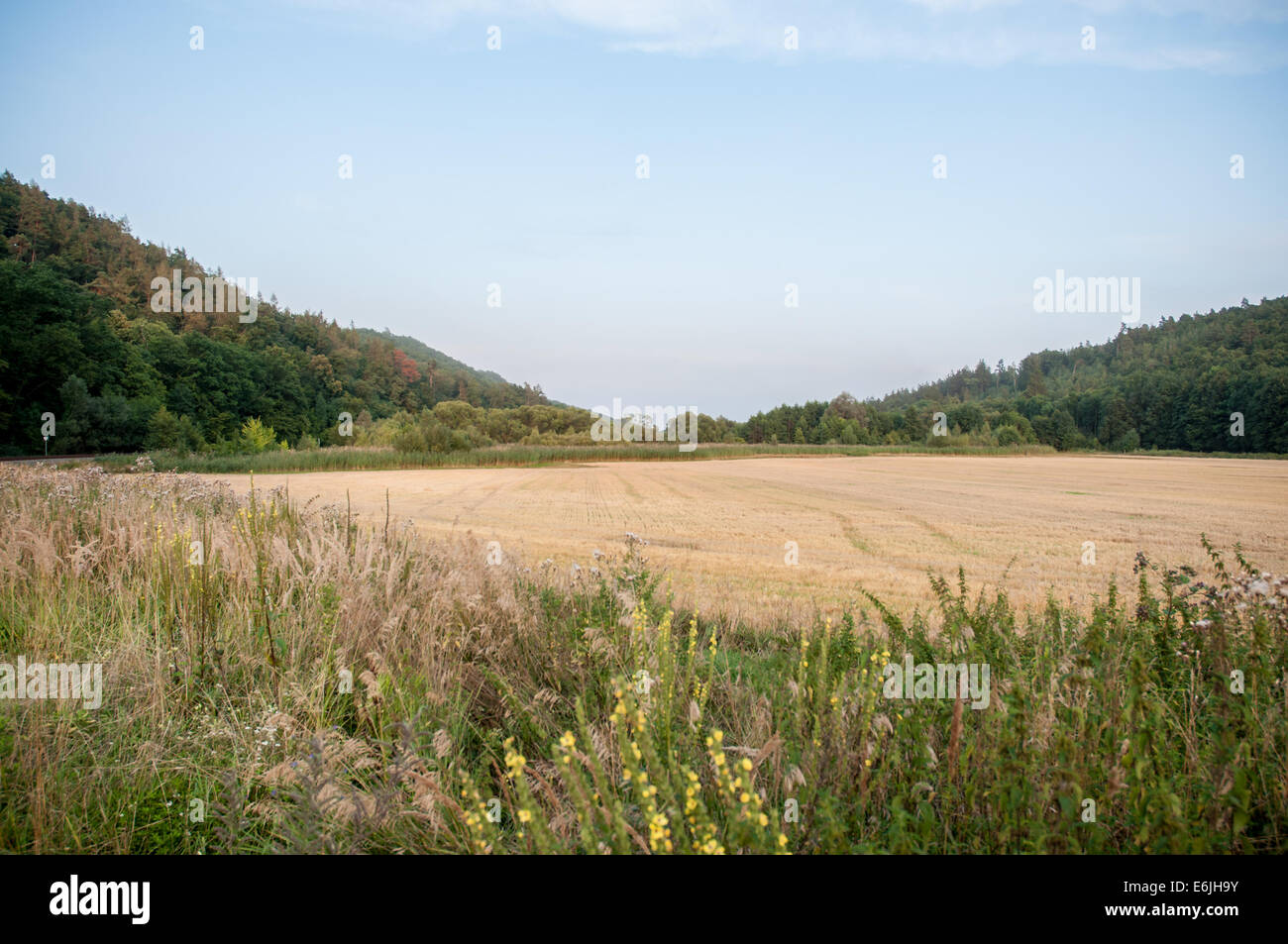 Moravia, Czech Republic, idyllic scene with field and forest Stock ...