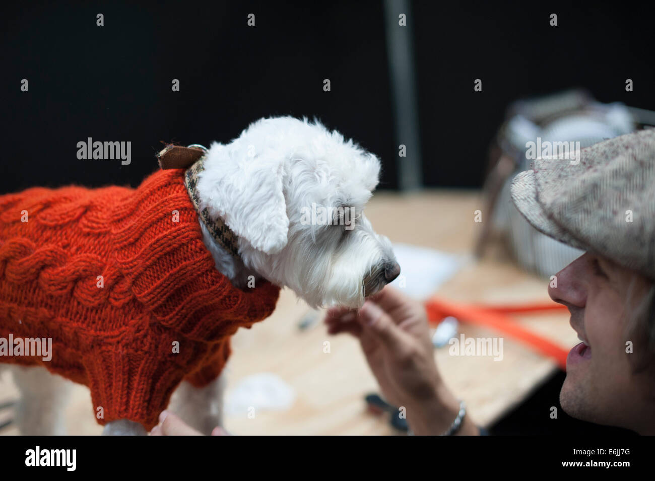 Tim hower hi-res stock photography and images - Alamy