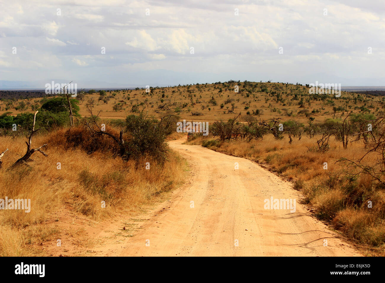 Red ground road and bush with savanna landscape in Africa. Tsavo West ...