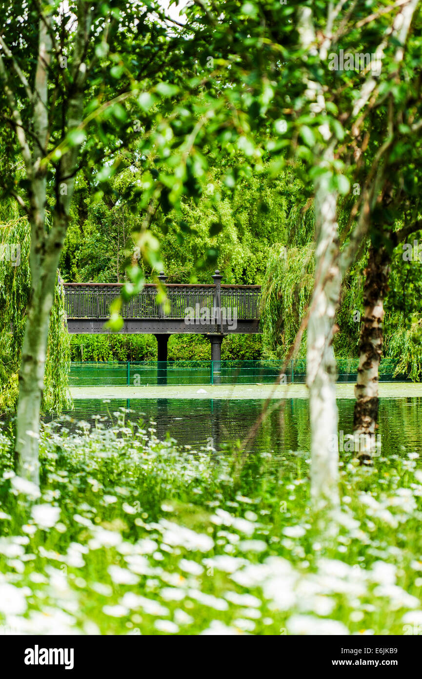Bridge in Regent's Park in London, England, UK Stock Photo - Alamy