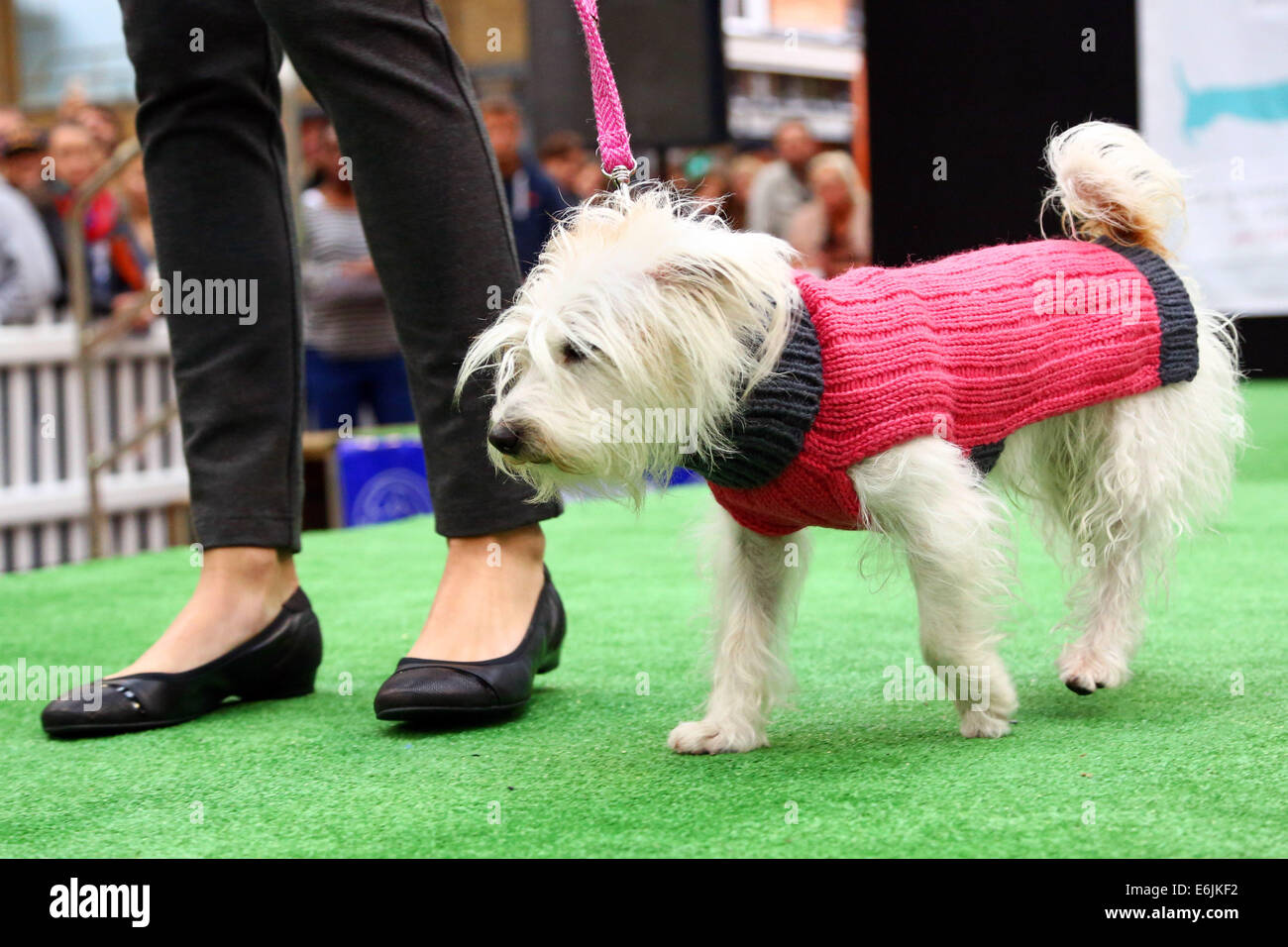 Hackett menswear hi-res stock photography and images - Alamy