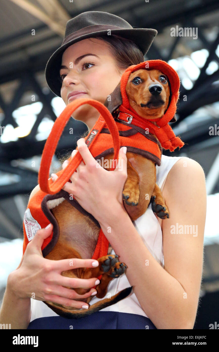 Murphy models hi-res stock photography and images - Alamy