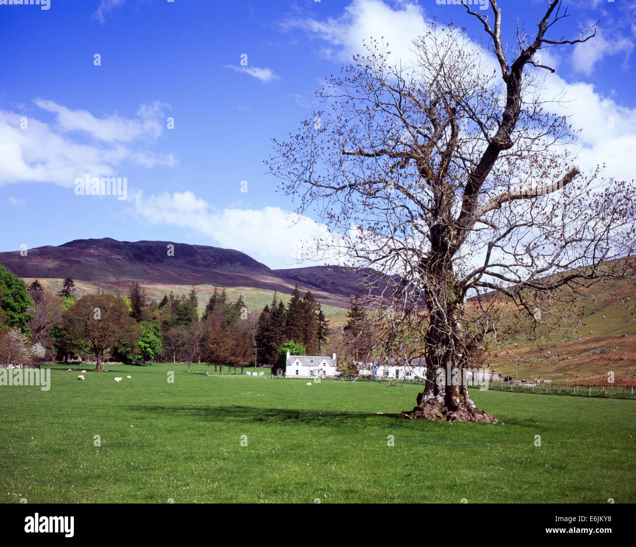 Ben Vorlich Loch Earn High Resolution Stock Photography and Images - Alamy