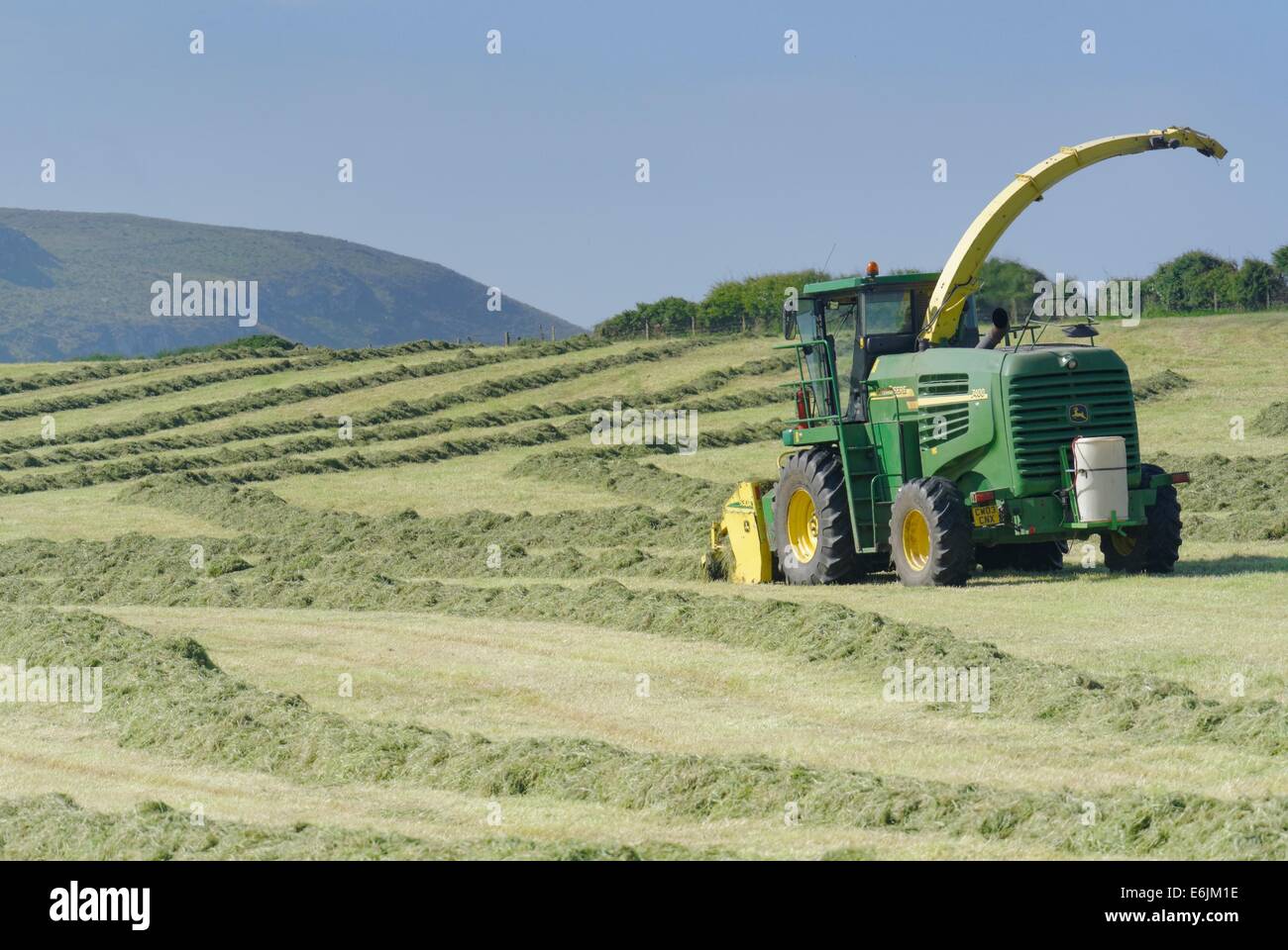 Cutting Silage High Resolution Stock Photography and Images - Alamy