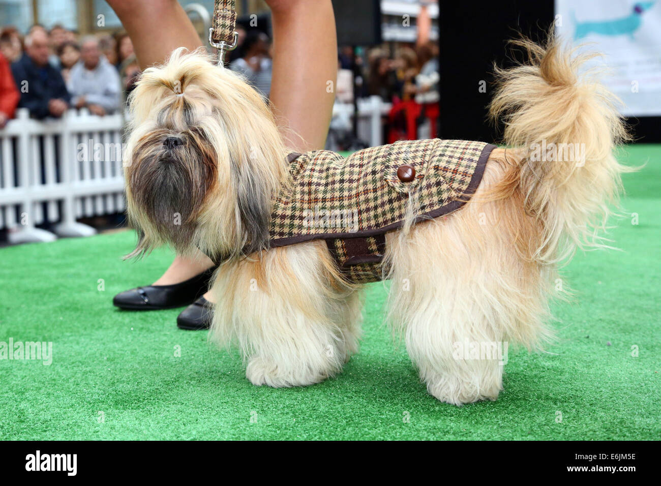 Hackett menswear hi-res stock photography and images - Alamy