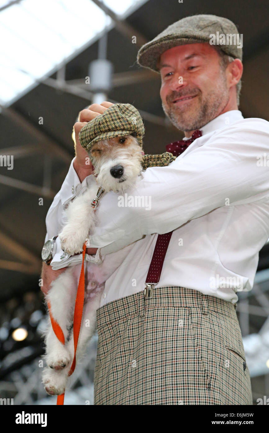 Dog and owner lookalike hi-res stock photography and images - Alamy